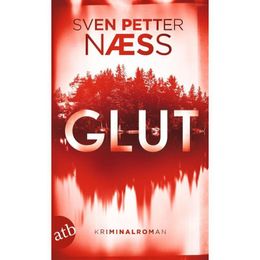 Glut / Team Oslo ermittelt Bd.1 - Sven Petter Naess, Taschenbuch