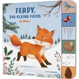 Mein erstes Jahreszeitenbuch: Ferdy, der kleine Fuchs - Anja Kiel, Pappband