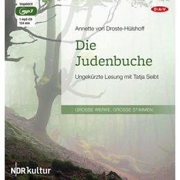 Große Werke. Große Stimmen - Die Judenbuche,1 Audio-CD, 1 MP3 - Annette von Droste-Hülshoff (Hörbuch)