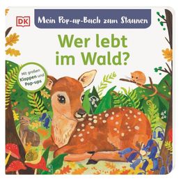 Dorling Kindersley Mein Pop-up-Buch zum Staunen. Wer lebt im Wald? - Sandra Grimm, Pappband