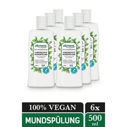 alkmene Munddusche Kariesschutz Mundspülung mit Bio Wasserminze