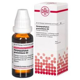 DHU-Arzneimittel Harpagophytum Procumbens D 2 Dilution 20 ml