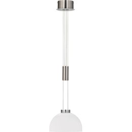 Fischer und Honsel LED Pendelleuchte FISCHER & HONSEL "Avignon" Lampen Gr. 1 flammig, Ø 25 cm, grau (nickelfarben) LED Hängeleuchten und Pendelleuchten