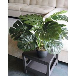 SONSTIGE Kunstpflanze PHILODENDRON (H 55 cm)