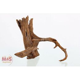 M&S Reptilien Terrarium Mangrovenwurzel