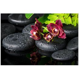 Wallario Acrylglasbild, Dunkelrote Orchideen-Blüte auf schwarzen Steinen mit Regentropfen