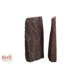 M&S Reptilien Terrarium Xaximplatte halbrund / halftrunk 20x40x2 -5