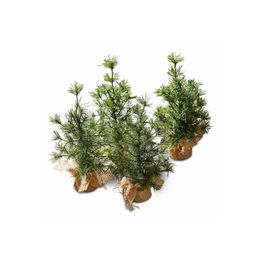 Mirabeau Weihnachtsfigur Deko-Baum 4er Set Millies grün/braun