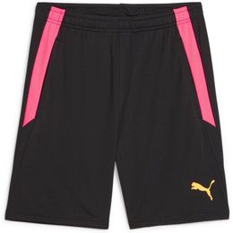 Puma Sporthose teamLIGA Training Shorts 2 Puma BLACK-SUN STREAM