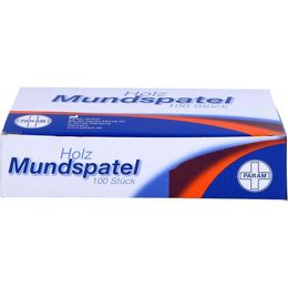 PARAM Mundspatel Holz Karton 100 St