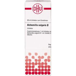 DHU-Arzneimittel Alchemilla Vulgaris Urtinktur 20 ml