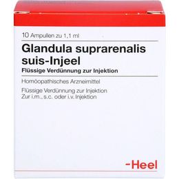 Heel Glandula Suprarenalis suis Injeel Ampullen 10 St