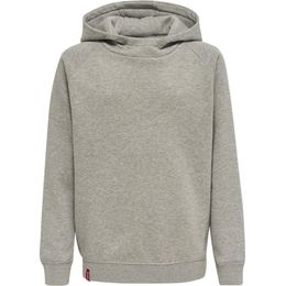 Hummel Sweatshirt 'Red Classic' Jungen Gr&ouml;&szlig;e 128 grau