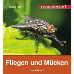 Fliegen und Mücken - Barbara Rath, Gebunden