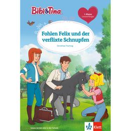 Bibi & Tina: Fohlen Felix und der verflixte Schnupfen - Dorothea Flechsig, Gebunden