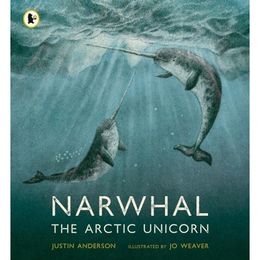 Narwhal: The Arctic Unicorn - Justin Anderson, Kartoniert (TB)