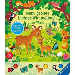 RAVENSBURGER VERLAG Mein großes Lichter-Wimmelbuch: Im Wald - Sandra Grimm, Pappband