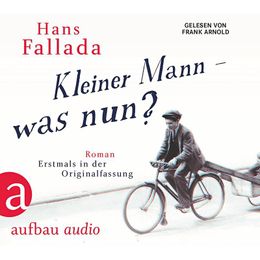 Kleiner Mann - was nun?,6 Audio-CDs - Hans Fallada (Hörbuch)