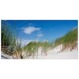 Wallario Sichtschutzzaunmatten Düne am Strand unter blauem Himmel