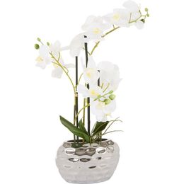 Kunstpflanze Orchidee Orchidee, LEONIQUE, Höhe 55 cm, Kunstorchidee, im Topf, silberfarben|weiß