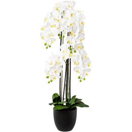 Kunstorchidee Phalaenopsis im Resintopf Orchidee Phalaenopsis, Creativ green, Höhe 119 cm, mit Real-Touch-Blüten, weiß