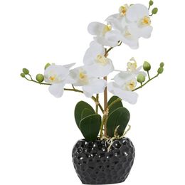 Kunstpflanze Orchidee Orchidee, LEONIQUE, Höhe 38 cm, Kunstorchidee, im Topf, schwarz|weiß