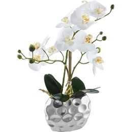 Kunstpflanze Orchidee Orchidee, LEONIQUE, Höhe 38 cm, Kunstorchidee, im Topf, silberfarben|weiß