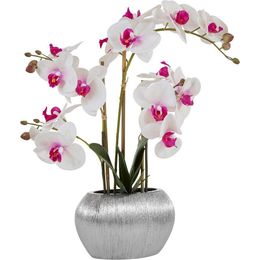 Kunstpflanze Orchidee, Home Affaire, Höhe 55 cm, Kunstorchidee, im Topf, weiß