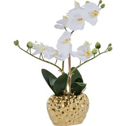 Kunstpflanze Orchidee Orchidee, LEONIQUE, Höhe 38 cm, Kunstorchidee, im Topf, goldfarben|weiß