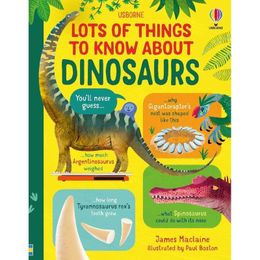 Lots of Things to Know About Dinosaurs - James Maclaine, Gebunden