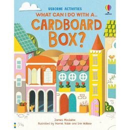 What Can I Do With a Cardboard Box? - James Maclaine, Kartoniert (TB)