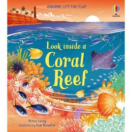 Look inside a Coral Reef - Minna Lacey, Pappband