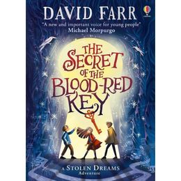 The Secret of the Blood-Red Key - David Farr, Gebunden