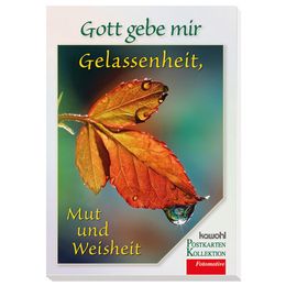 Gott gebe mir Gelassenheit, Mut und Weisheit, Postkarten-Buch, Kartoniert (TB)