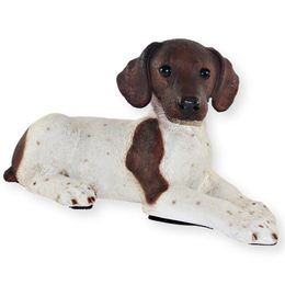 Castagna Tierfigur Figur Hund englischer Pointer Hundefigur liegend braun gefleckt Kollektion Castagna Resin H 18 cm