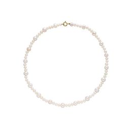 Firetti Perlenkette Schmuck Geschenk Gold 375 Halsschmuck Halskette Perle, Made in Germany - mit Süßwasserzuchtperle, gelb|goldfarben|weiß
