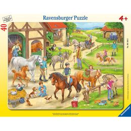 RAVENSBURGER VERLAG Ravensburger Kinderpuzzle - 06164 Auf dem Pferdehof - Rahmenpuzzle für Kinder ab 4 Jahren, mit 40 Teilen