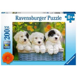 RAVENSBURGER VERLAG Ravensburger Kinderpuzzle - 12765 Kuschelige Welpen - Hunde-Puzzle für Kinder ab 8 Jahren, mit 200 Teilen im XXL-Format