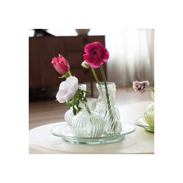 Annastore Dekovase 5-teiliges Vasenset Glasvasen Dekovase Blumenvase Tischvase (H 13 cm)