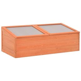 Bonnevie - Frühbeet Holz 100x50x34 cm vidaXL752217