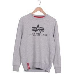 Alpha Industries Herren Kapuzenpullover, grau