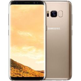 Samsung Galaxy S8 | 64 GB | Single-SIM | gold