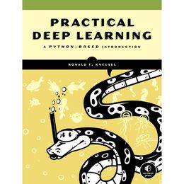 Practical Deep Learning - Ronald T. Kneusel, Kartoniert (TB)