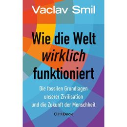 Beck Wie die Welt wirklich funktioniert - Vaclav Smil, Gebunden