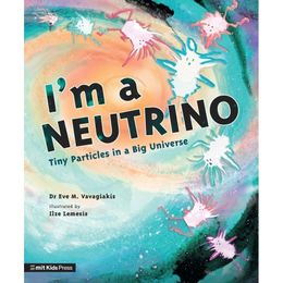 I'm a Neutrino: Tiny Particles in a Big Universe - Eve M. Vavagiakis, Gebunden