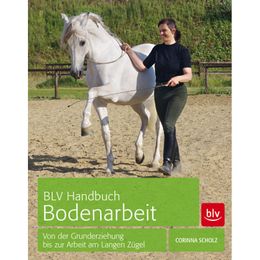 BLV Handbuch Bodenarbeit - Corinna Scholz, Gebunden