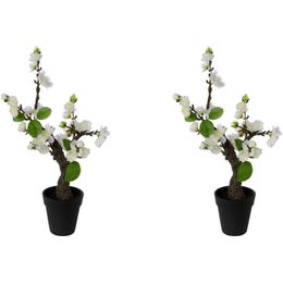 Kunstblume Kirschblütenbonsai, Creativ green, Höhe 32 cm, weiß