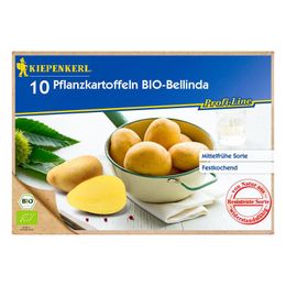 Gärtner Pötschke BIO Kartoffel Bellinda, 10 Stück