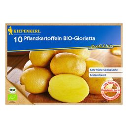 Gärtner Pötschke BIO Kartoffel Glorietta, 10 Stück