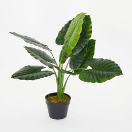 TK Maxx Grüne künstliche Pflanze 78x18cm